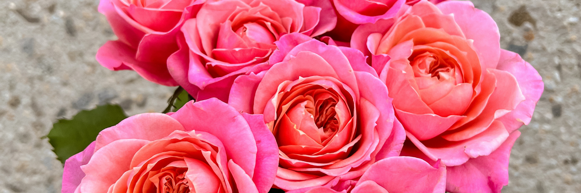 Cali Wholesale Flowers